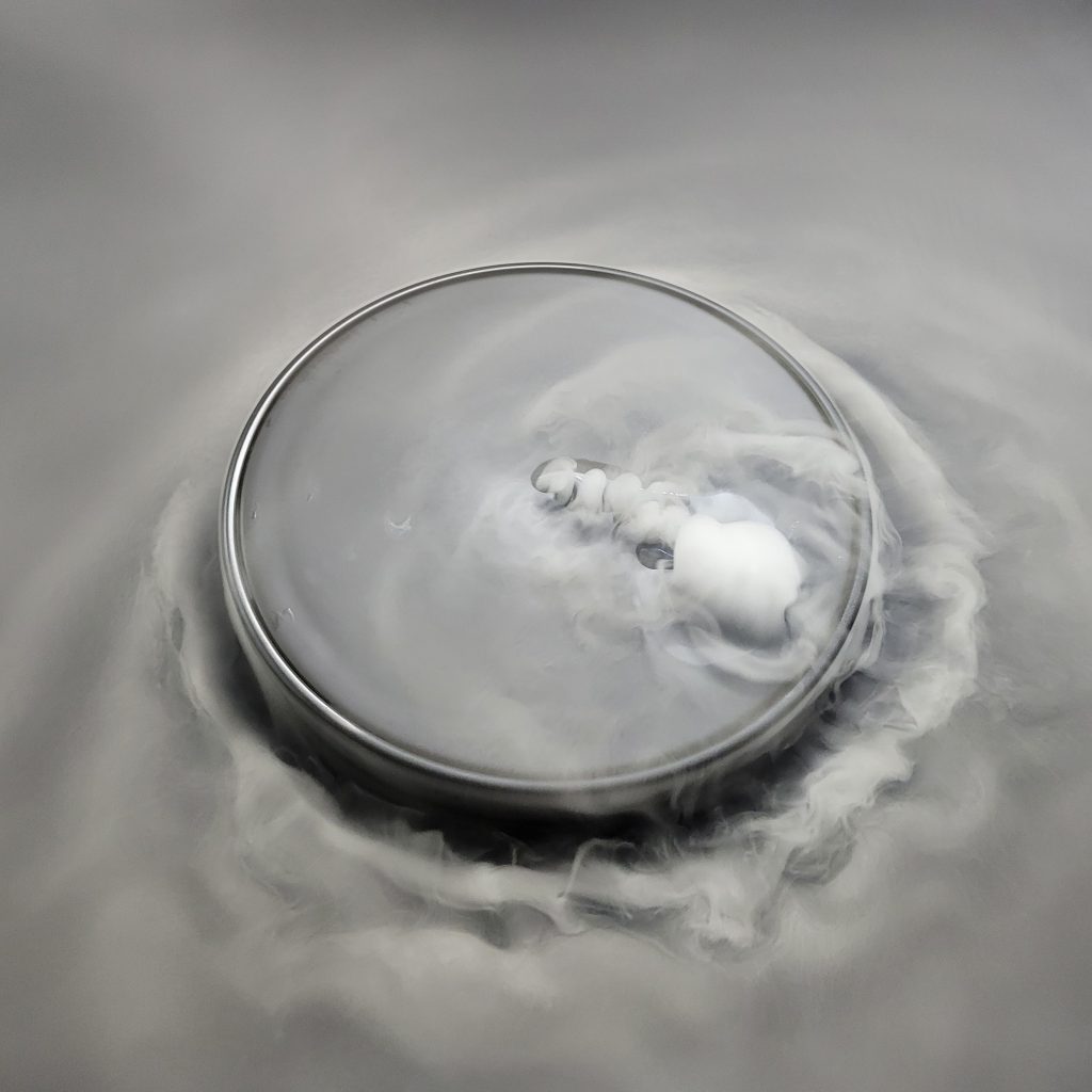 27cm/ 22cm Black Dry Ice Plate – Dry Ice Express