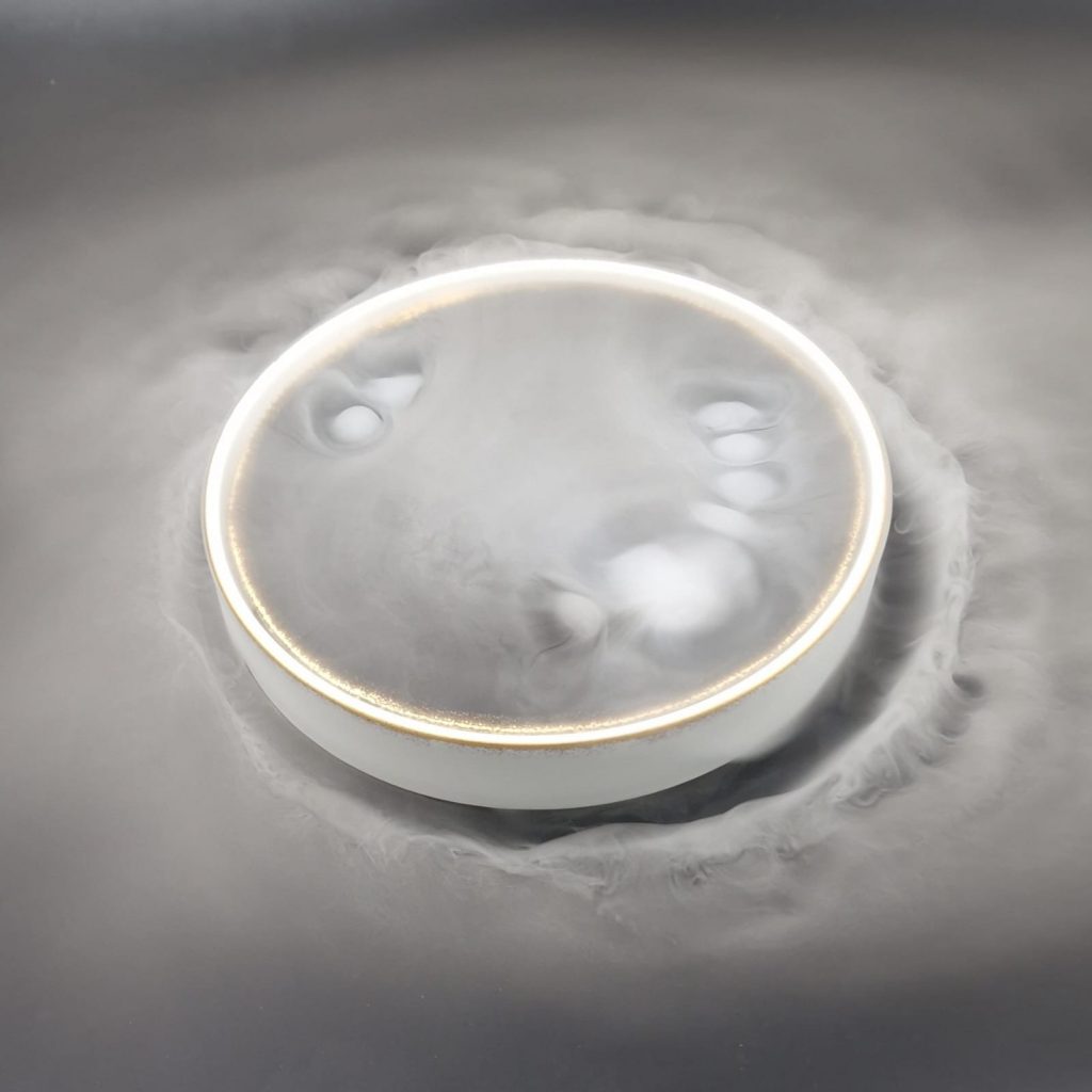 22cm Gold Rim Dry Ice Dish – Dry Ice Express